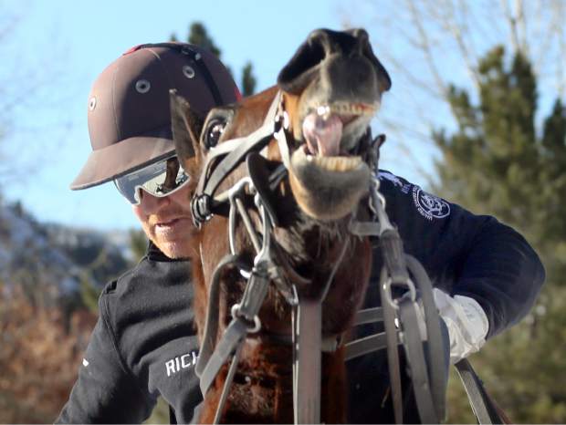 Sport of kings: How the Ganzis have led the polo boom in the Roaring ...